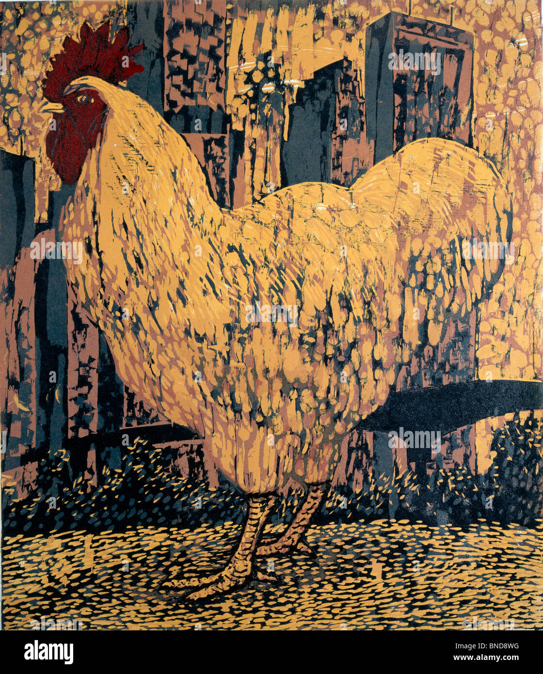 Buff rooster by barry wilson hi-res stock photography and images - Alamy