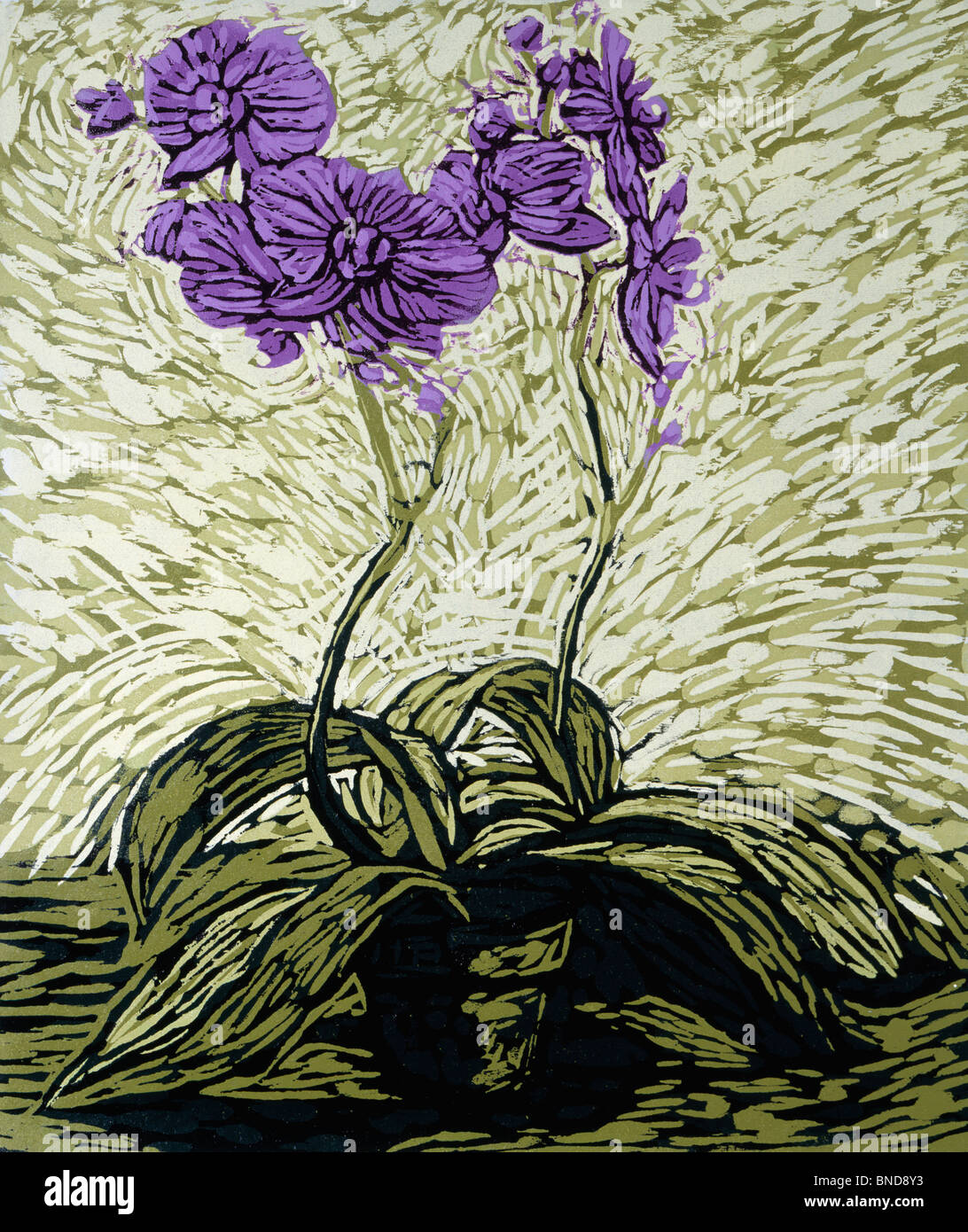 Orchids by Barry Wilson, woodcut print, (born 1961 Stock Photo - Alamy