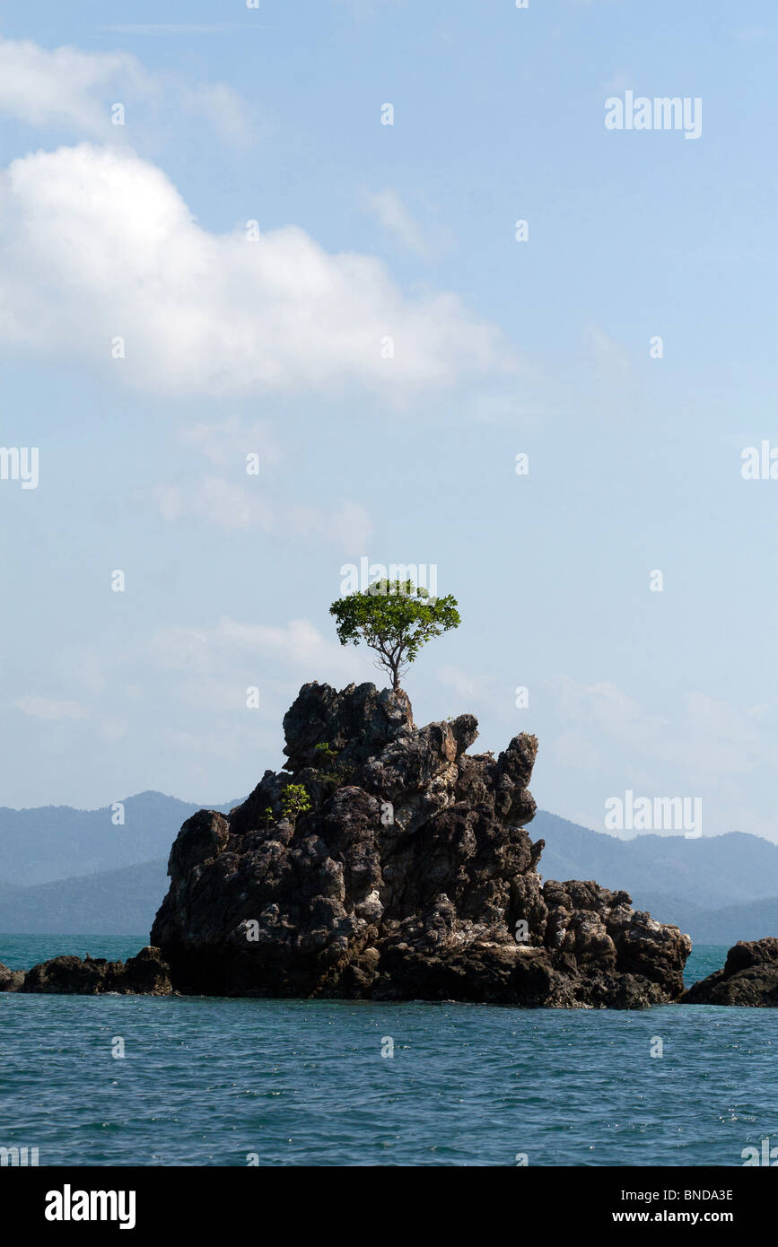 A small island with a single tree growing on it, off the coast of ...