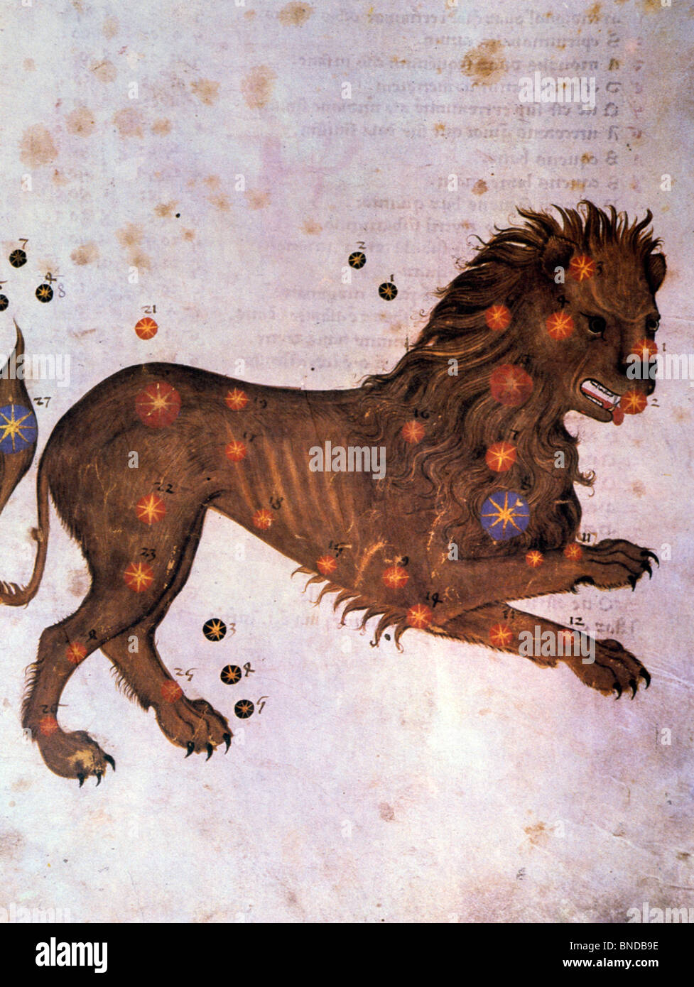 Leo the lion hi-res stock photography and images - Alamy