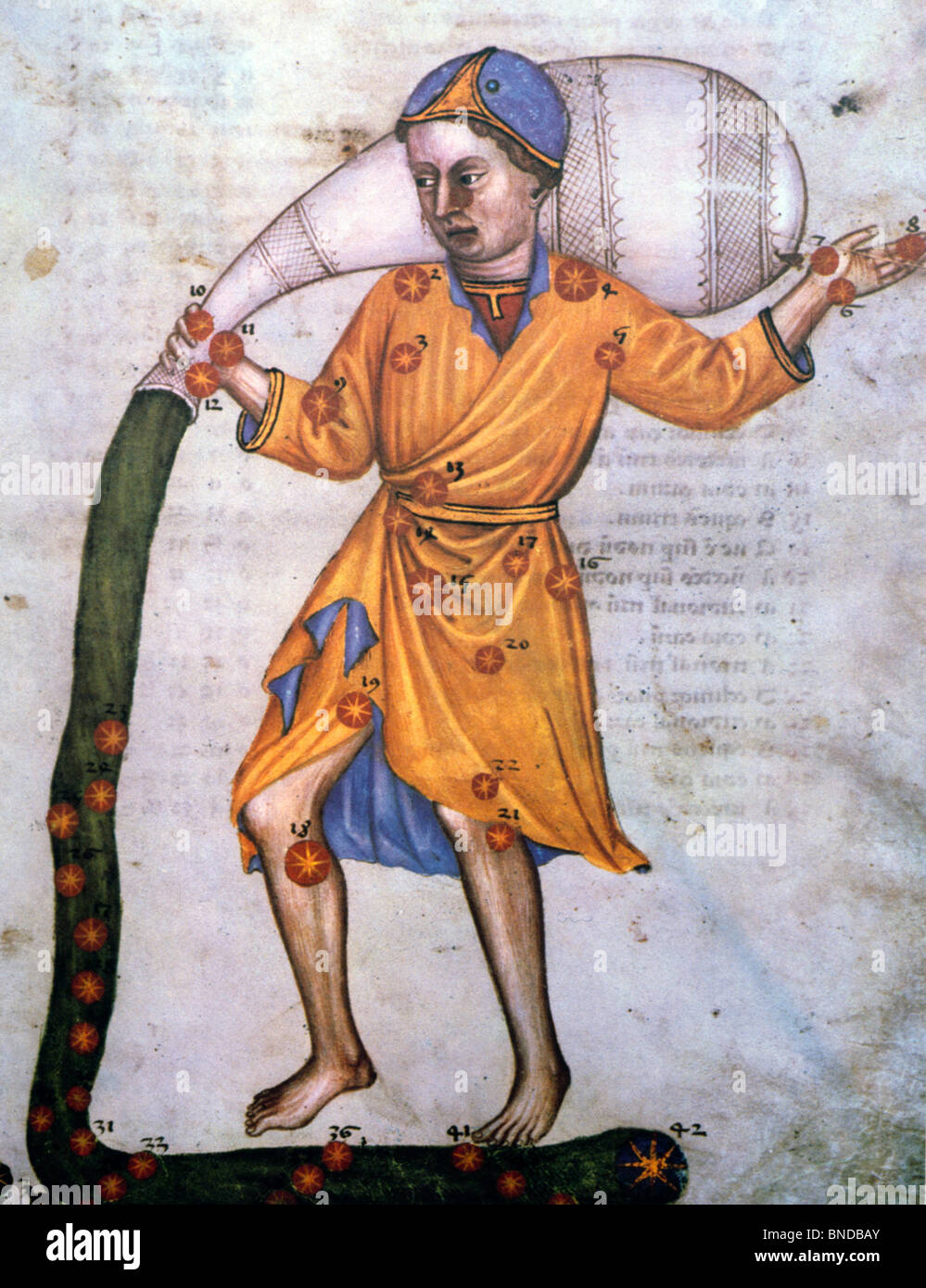 Aquarius or Water-Bearer, Signs of the Zodiac by artist unknown (from ...
