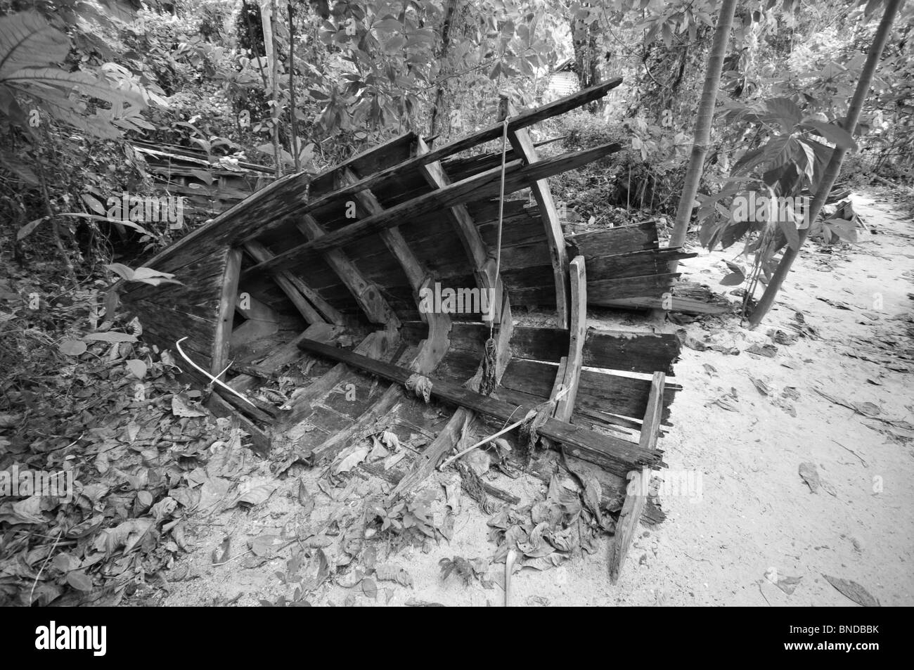 Broken Boat, Wreck, Washed up Boat wreck, wood Stock Photo - Alamy