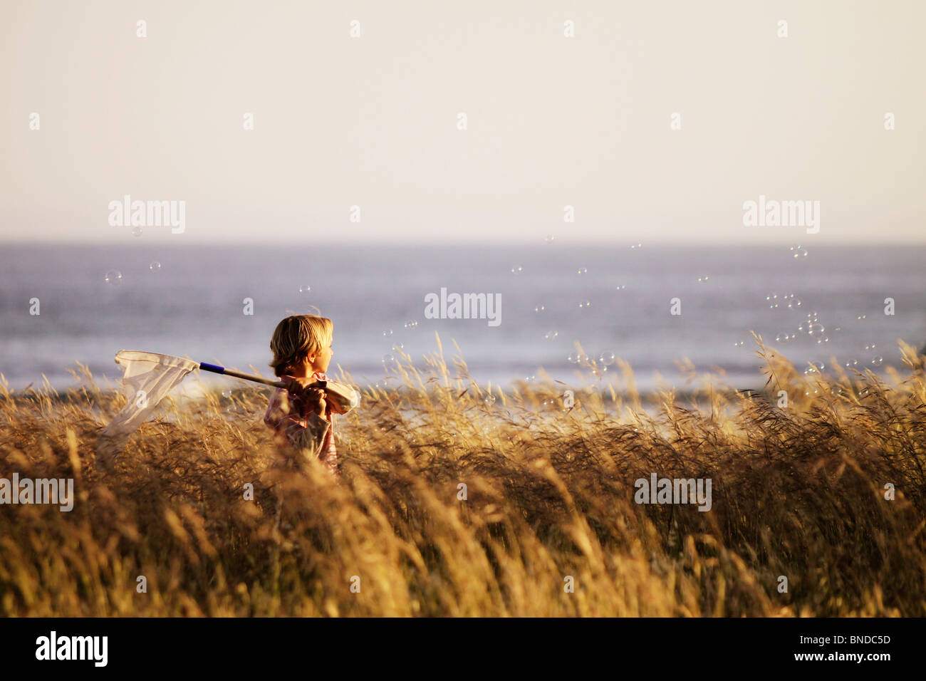 Boy chasing a butterfly hi-res stock photography and images - Alamy