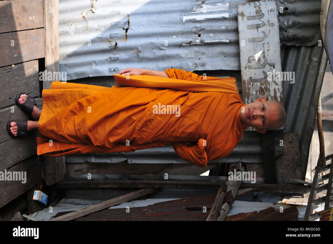 Monk orange hi-res stock photography and images - Alamy