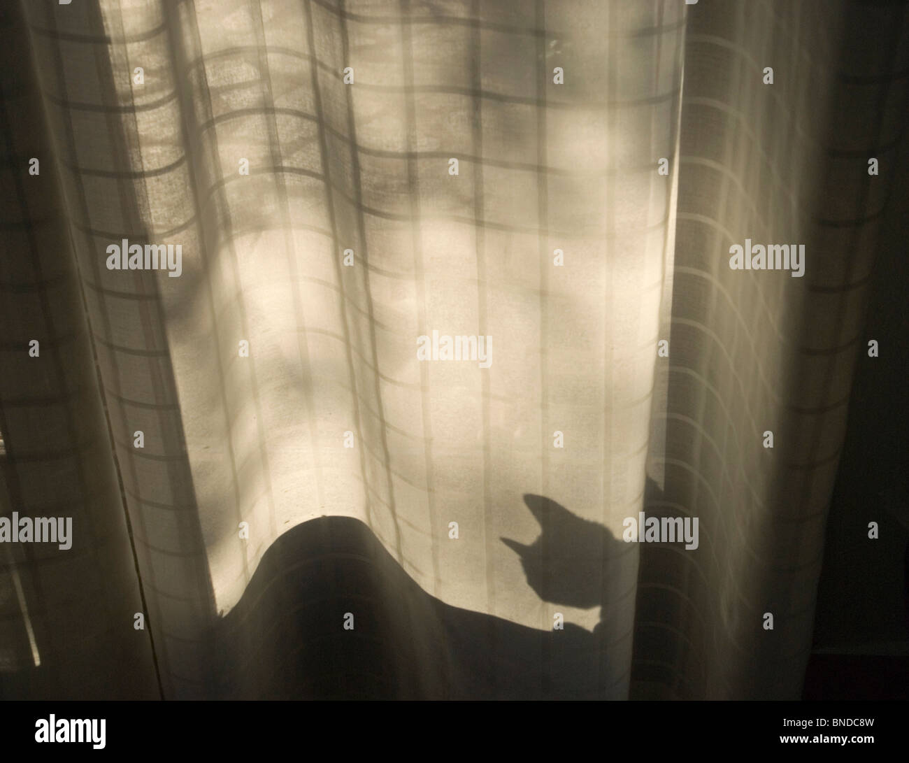 Mystery silhouette head hi-res stock photography and images - Alamy