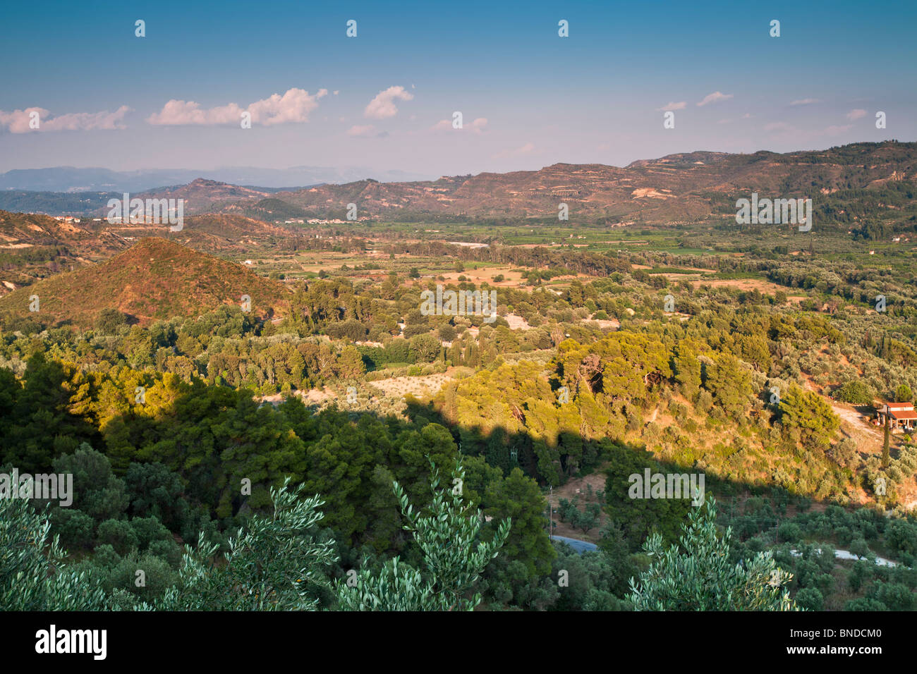 View across the Alpheios Valley. The Hill of Kronos is visible at the ...