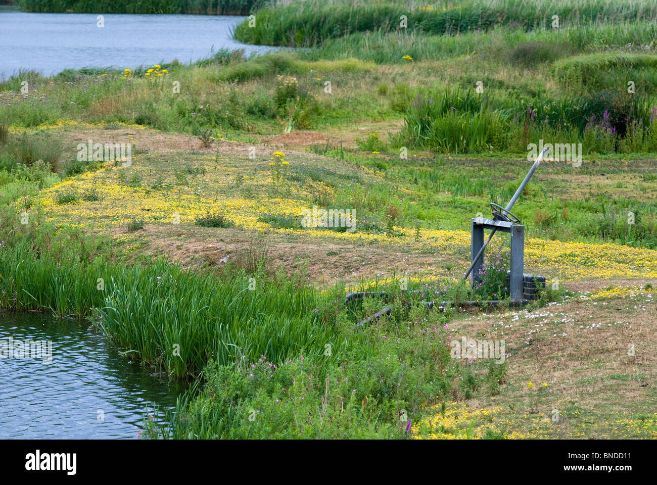 Irrigation gate hi-res stock photography and images - Alamy