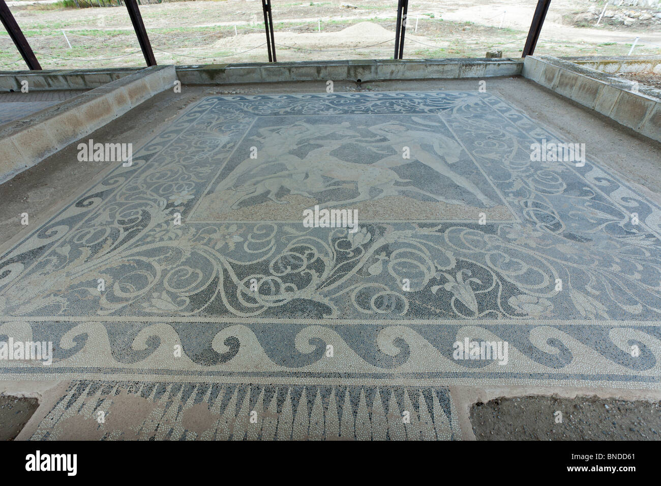 Pebble mosaic depicting a stag hunt, signed by Gnosis. In situ in House ...