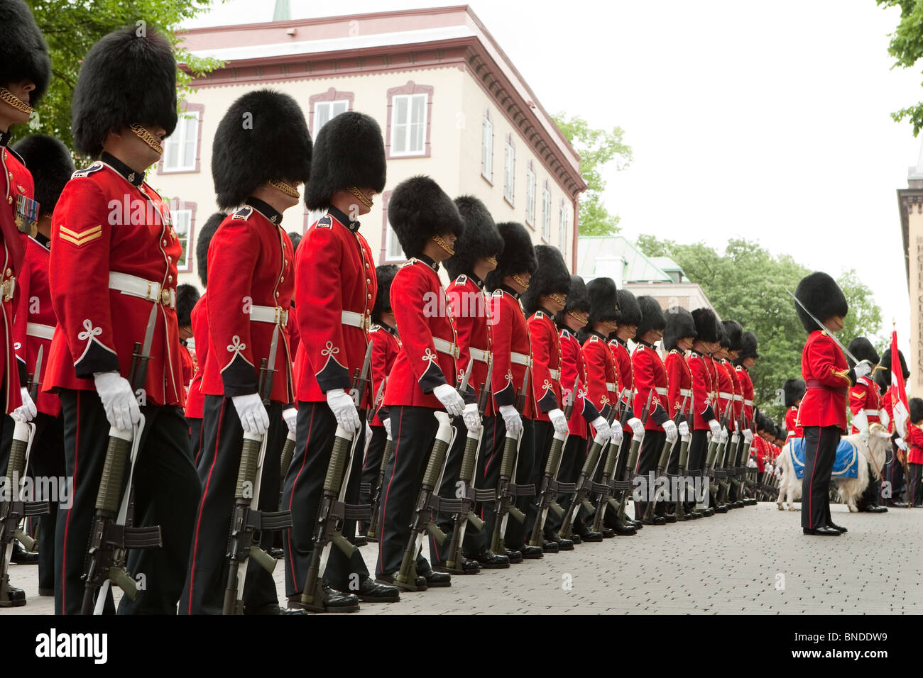 Royal 22e Regiment members in parade dress are lined during Canada day ...