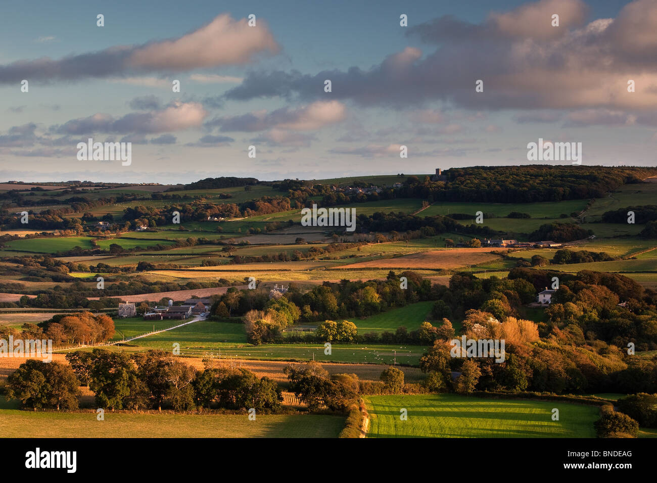 Late evening light from Knowle Hill nr Corfe Castle, Dorset Stock Photo ...