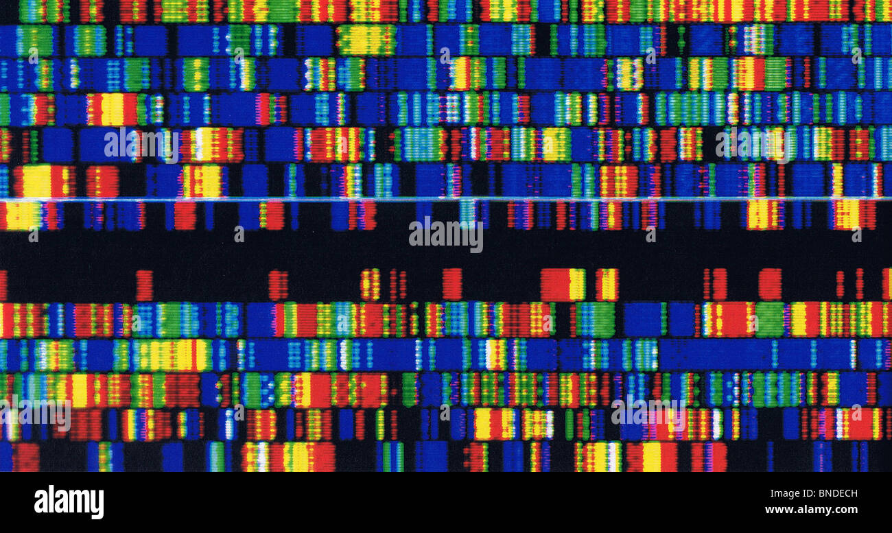 genotype, gene, genetic engineering, DNA-sequence Stock Photo - Alamy