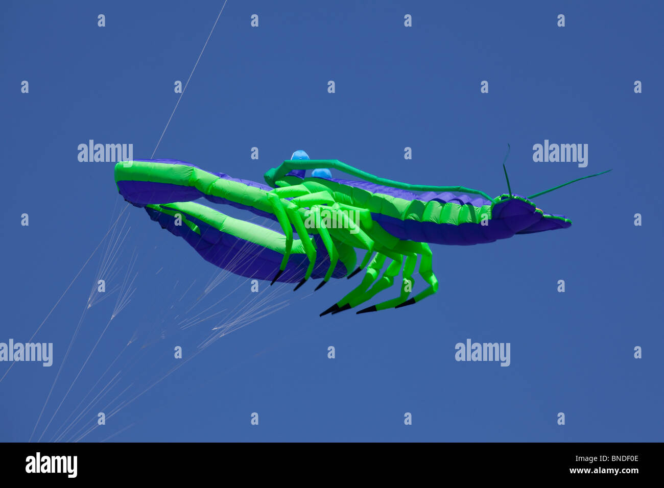 Unusual kite hi-res stock photography and images - Alamy