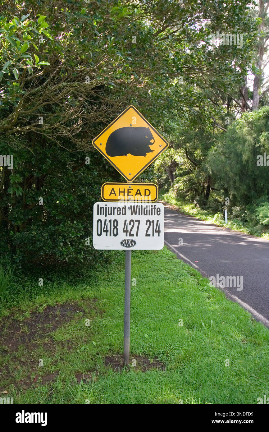 A yellow caution wombat road sign, Australia Stock Photo - Alamy