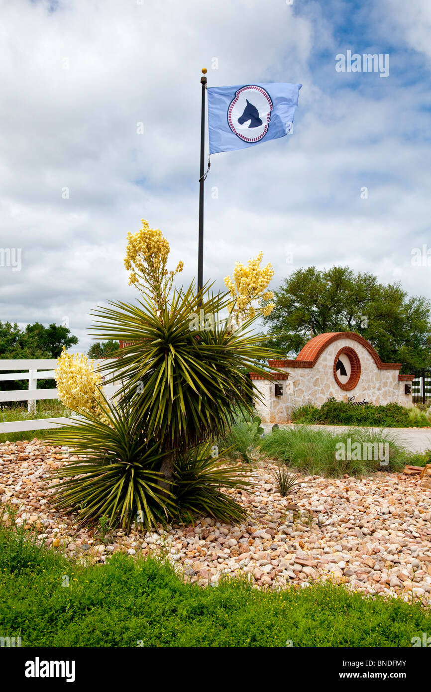 Texas gate ranch hi-res stock photography and images - Alamy