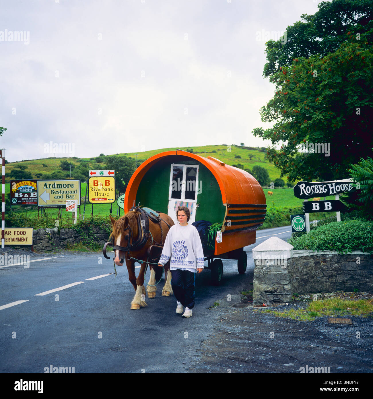 Girl leading horse drawn gypsy caravan on country road, County Mayo ...