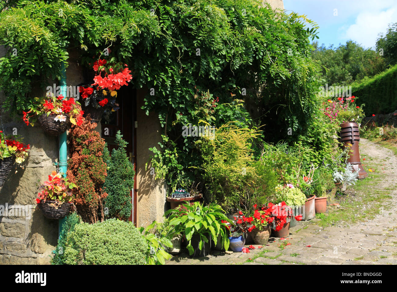 cottage garden Trawden Colne Lancashire Stock Photo - Alamy