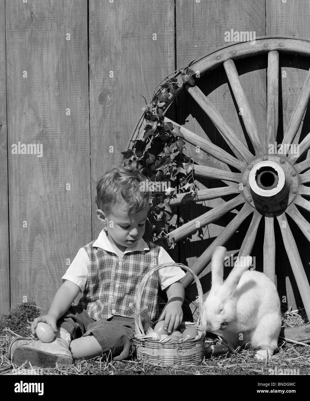 Looking at the egg Black and White Stock Photos & Images - Alamy