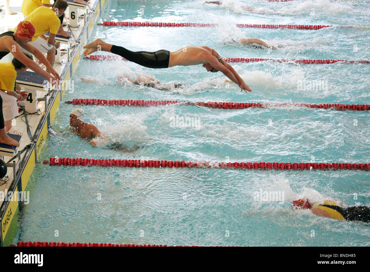 Guernsey and IoM changeover 4x50m men's freestyle relay final swimming ...