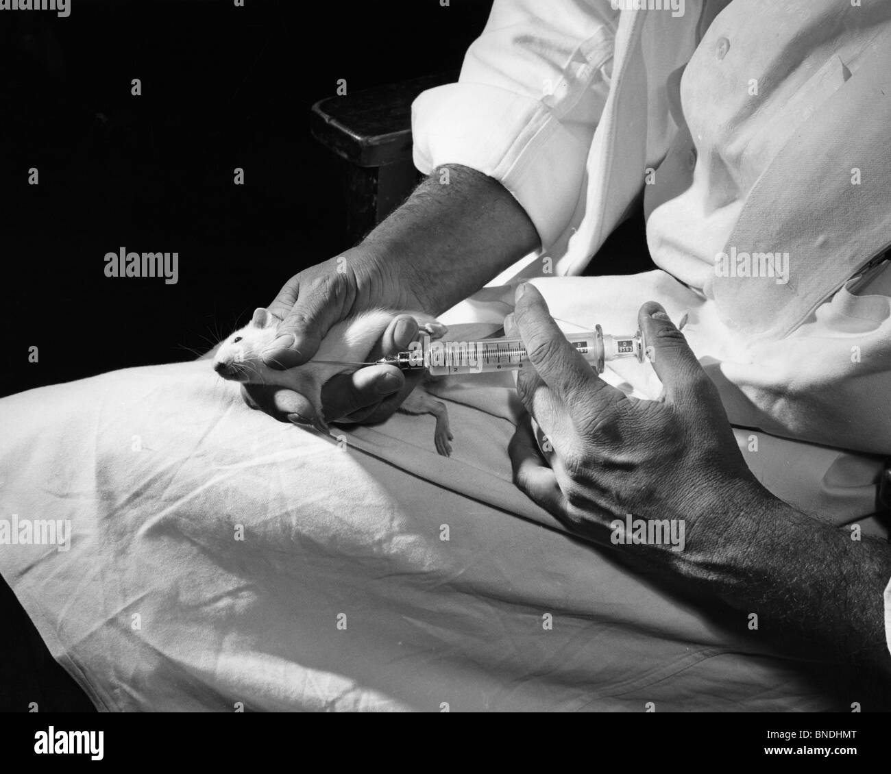 Scientist testing Black and White Stock Photos & Images - Alamy