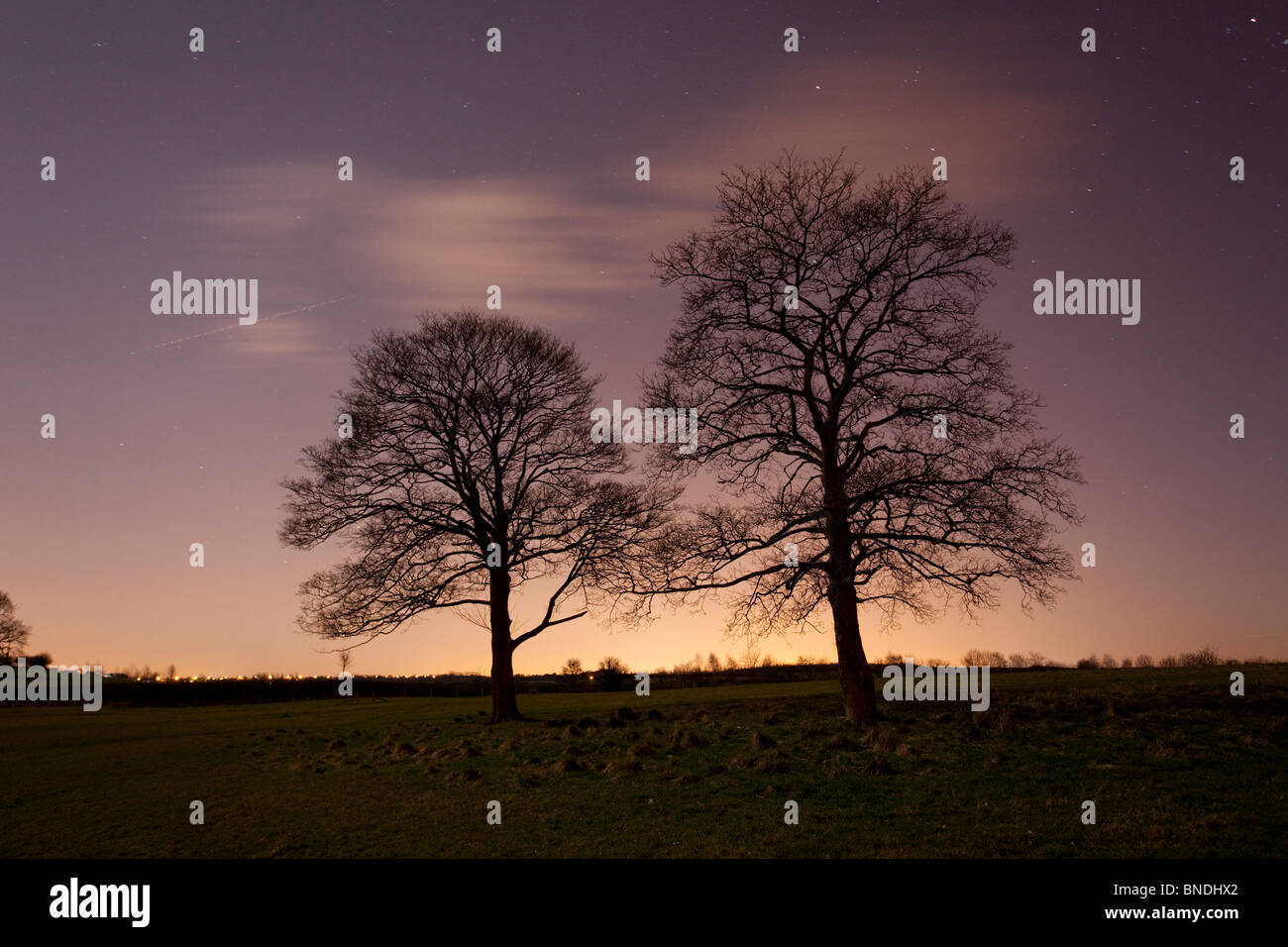 two trees at night with passing clouds, stars visible Stock Photo - Alamy