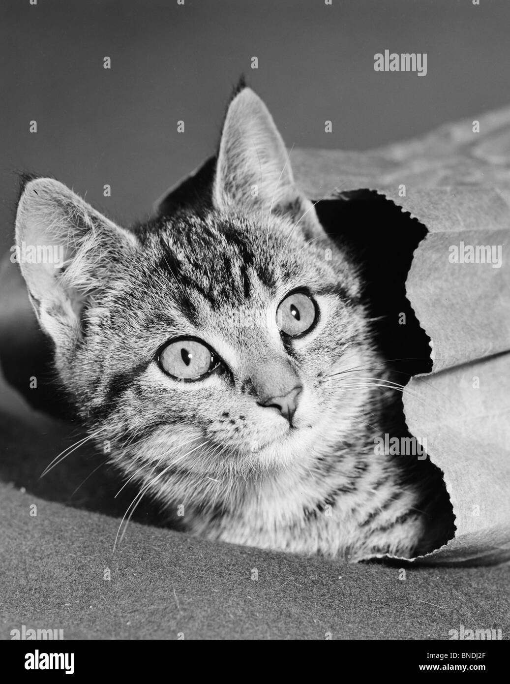 Paper indoors Black and White Stock Photos & Images - Alamy