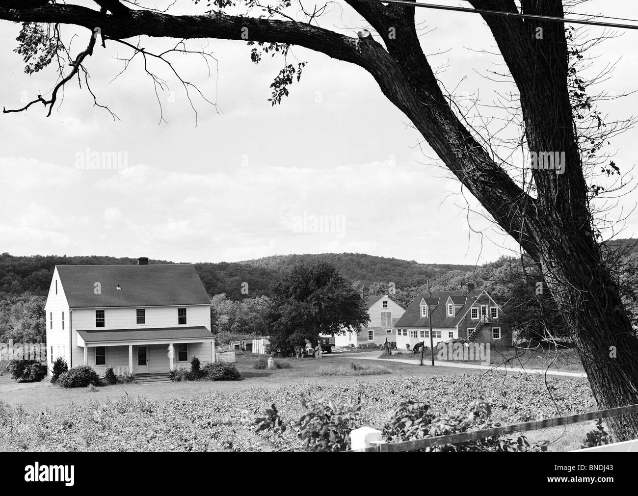 A field field Black and White Stock Photos & Images - Alamy