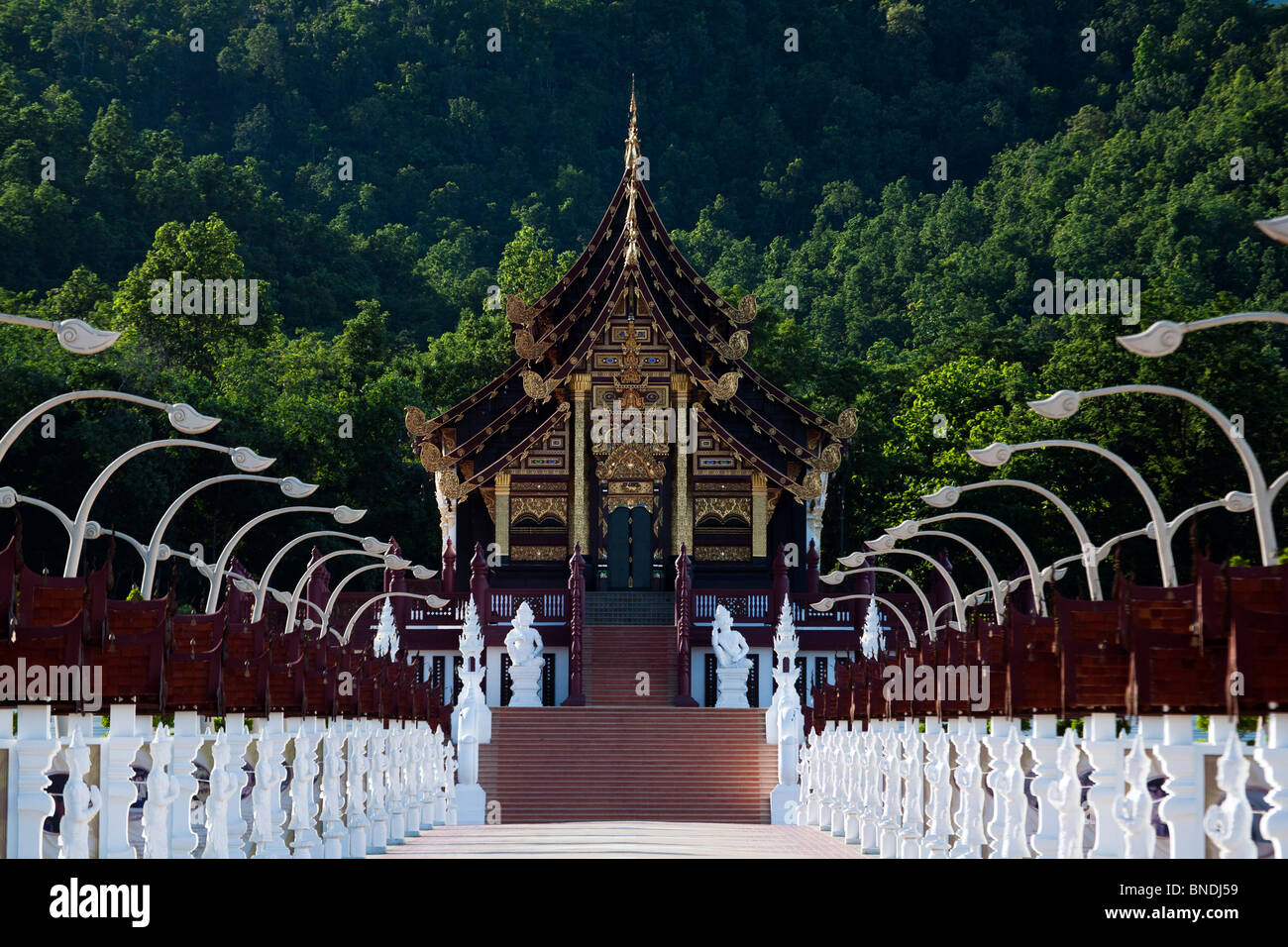 Royal flora ratchaphruek chiang mai hi-res stock photography and images ...