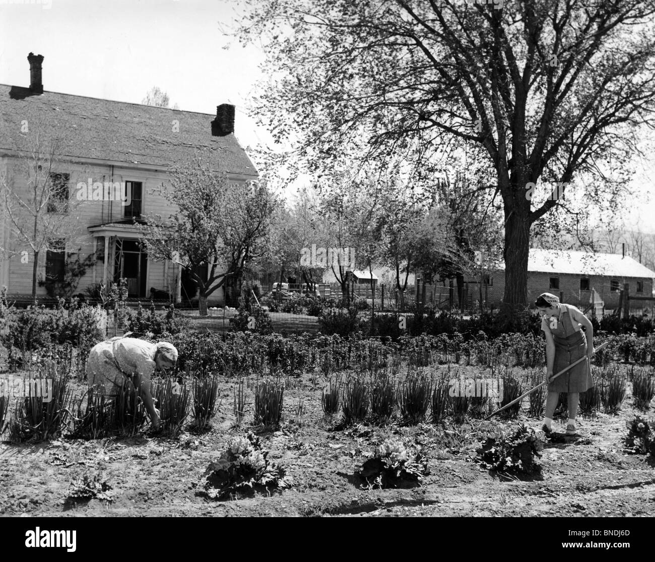 Woman women hobby Black and White Stock Photos & Images - Alamy