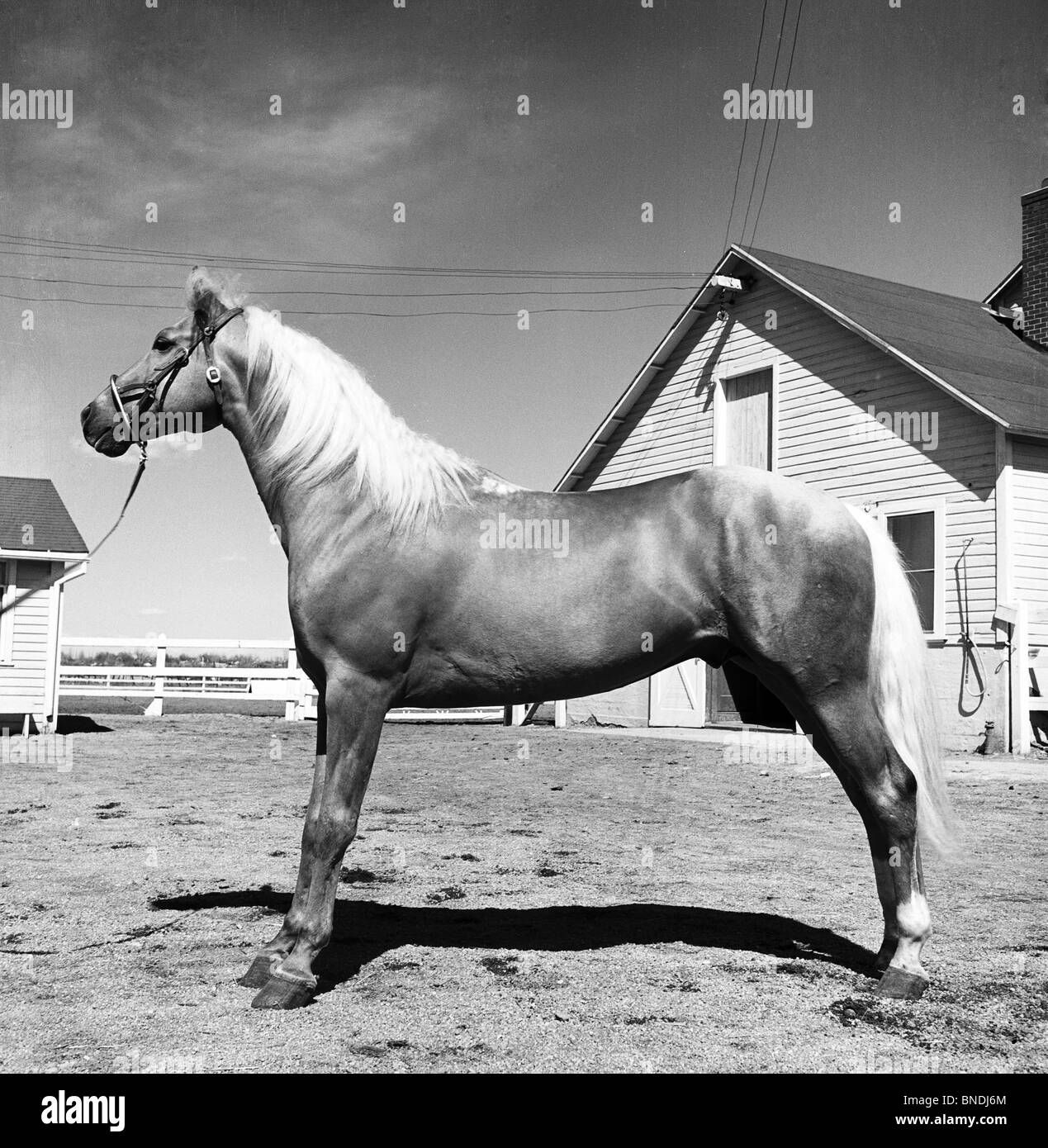 Corral hi-res stock photography and images - Alamy