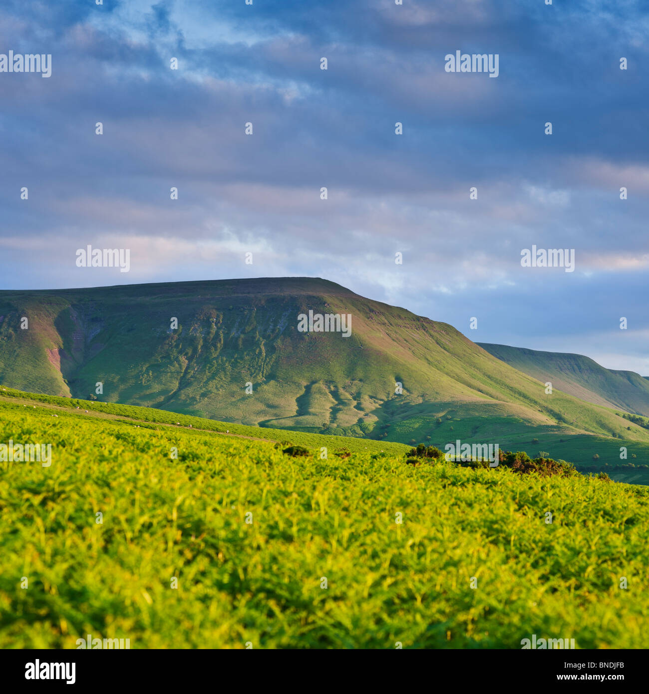 View of Twmpa - Lord Hereford's Knob over common lands below Hay Bluff ...