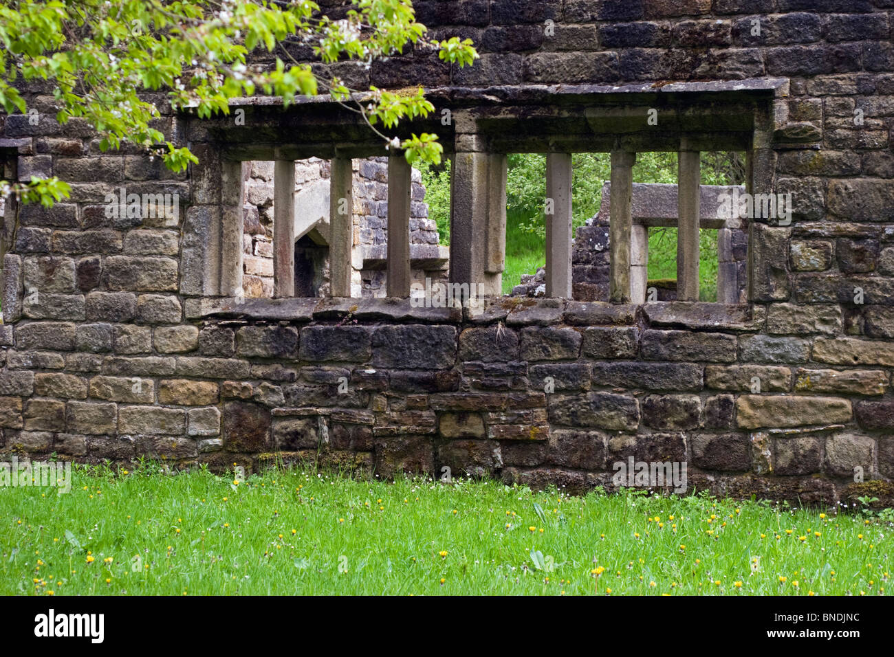 Ruins of Wycoller Hall, Lancashire Stock Photo - Alamy