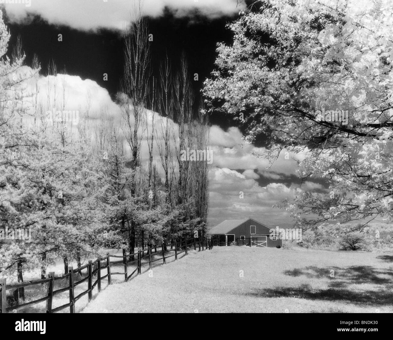 Idyllic landscape with farm and trees covered in blossom Stock Photo ...