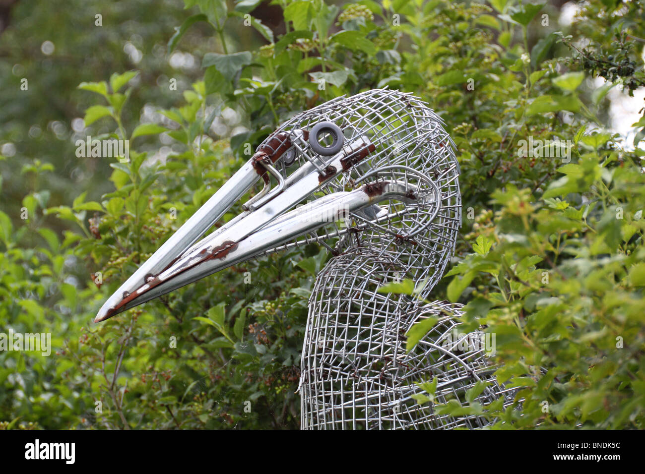 bird sculpture rutland water nature reserve egleton Stock Photo - Alamy