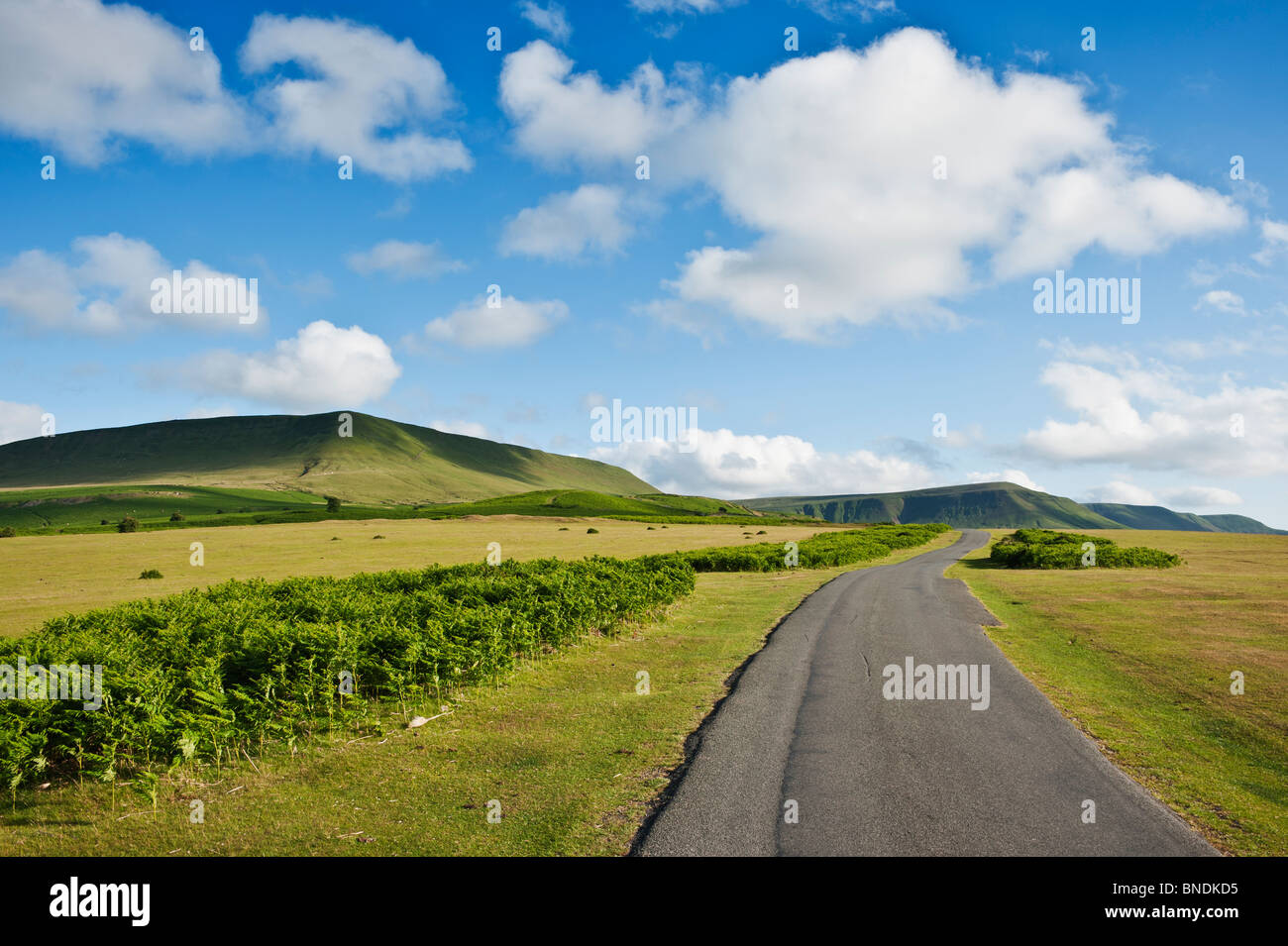 Hay Bluff Road with Hay Bluff in distance, Black Mountains, Near Hay-on ...