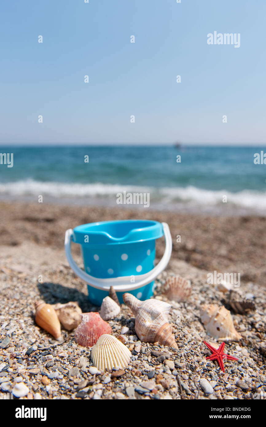 Sea shells beach bucket hi-res stock photography and images - Alamy