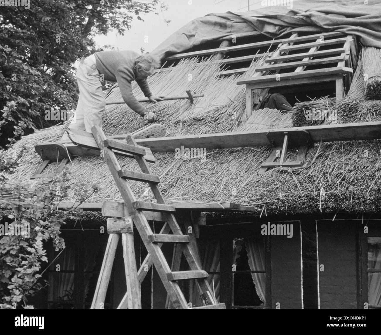 Thatching roof Black and White Stock Photos & Images - Alamy