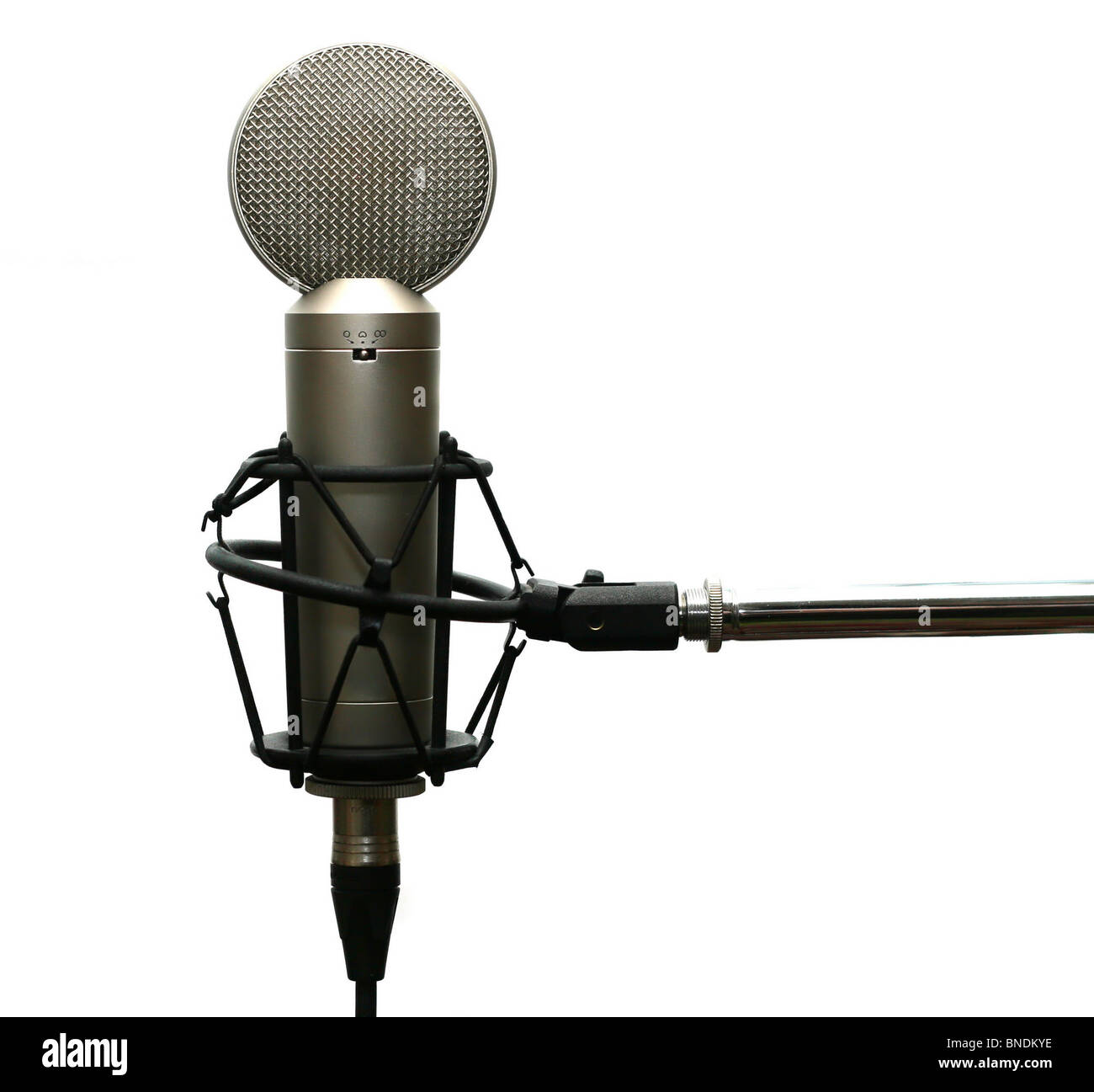 Speech microphone audience Cut Out Stock Images & Pictures - Alamy