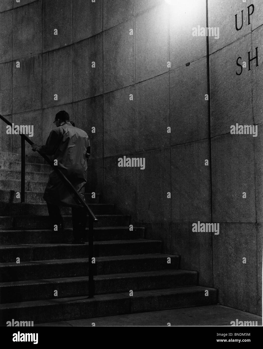 Rear up Black and White Stock Photos & Images - Alamy