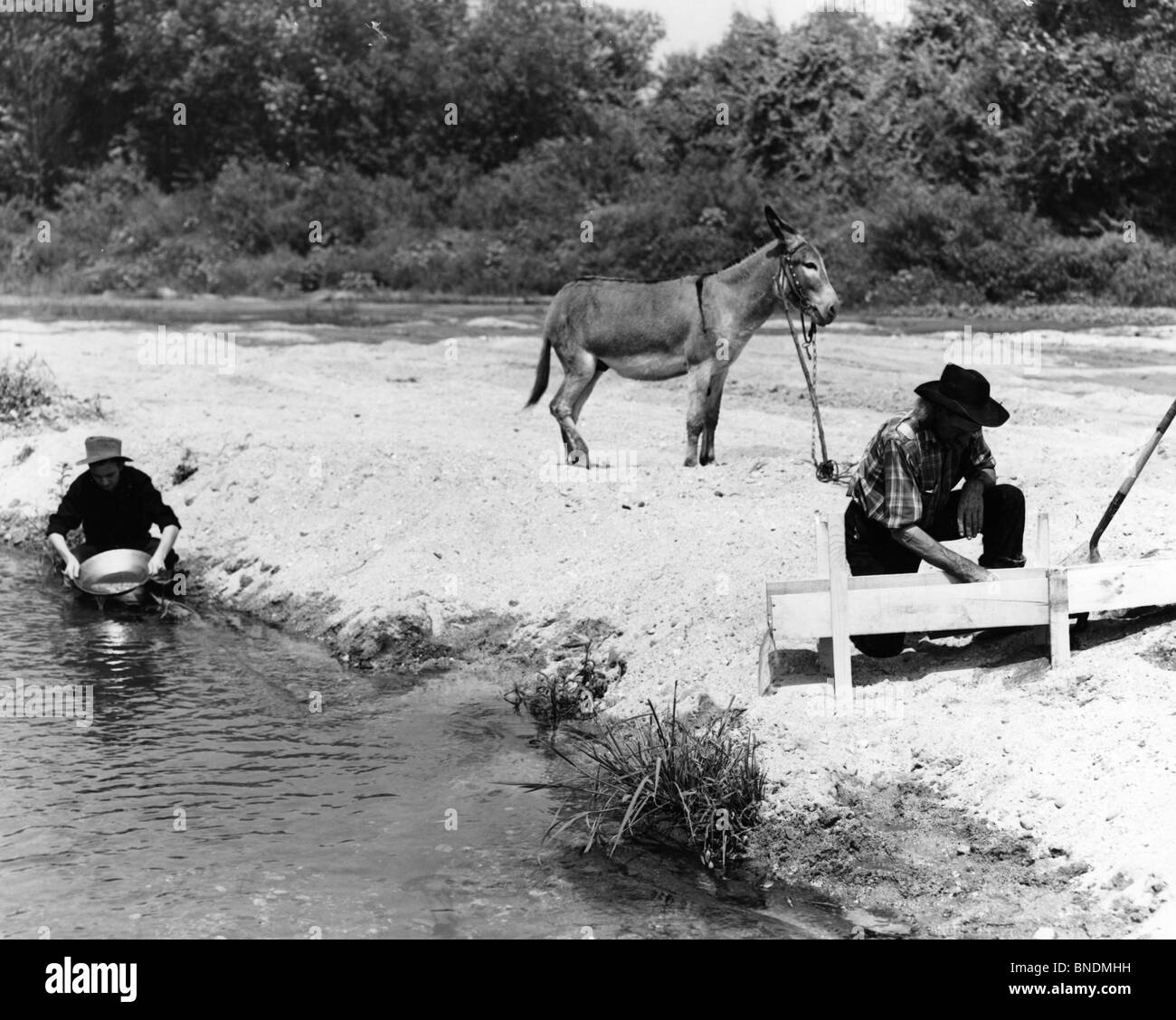 Gold miner hi-res stock photography and images - Alamy