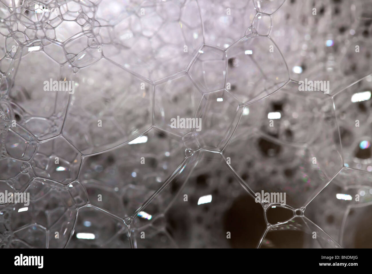 Close up of bubbles in studio setting Stock Photo - Alamy