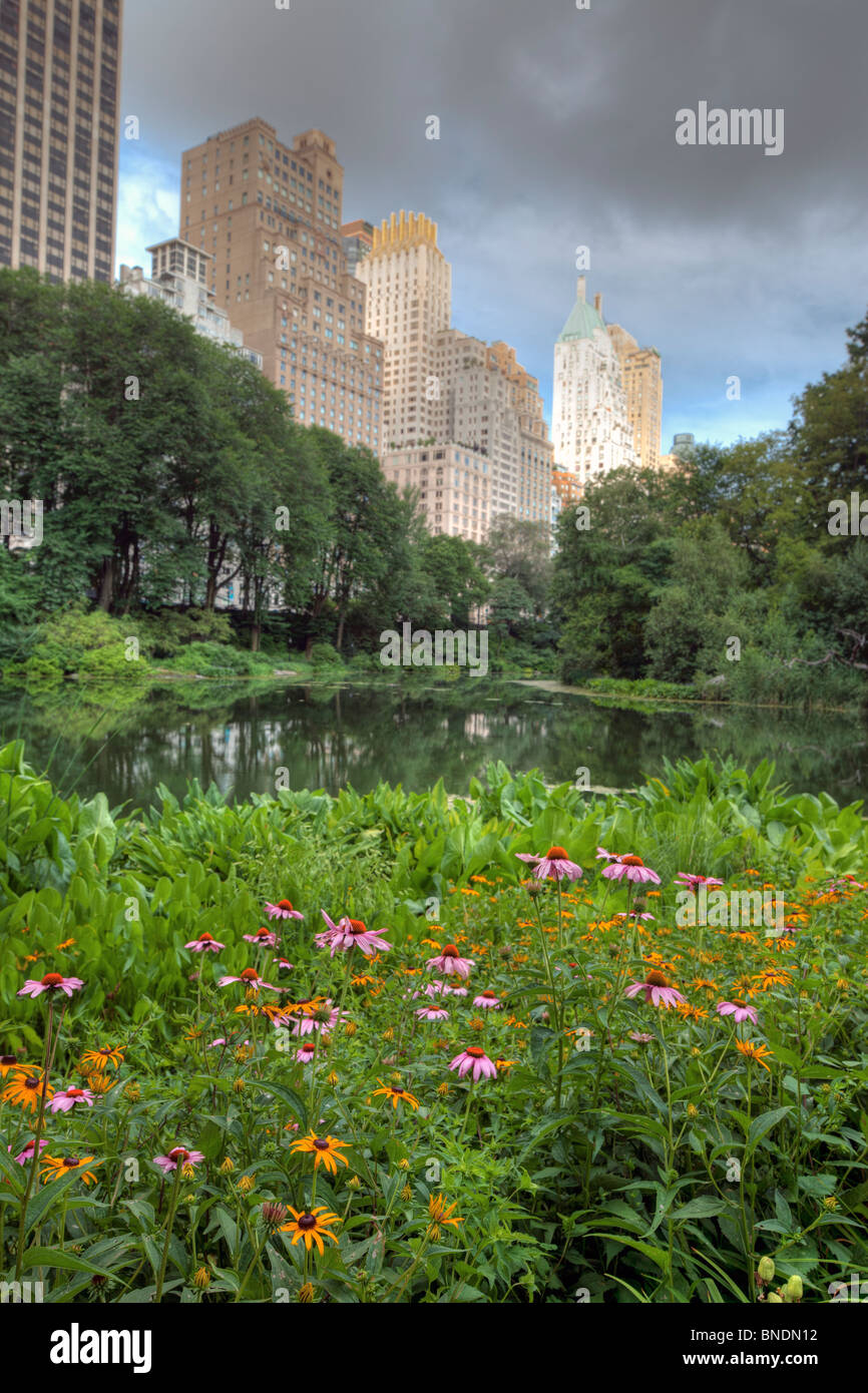 Summer in Central Park by the pond with flowers and central park south ...