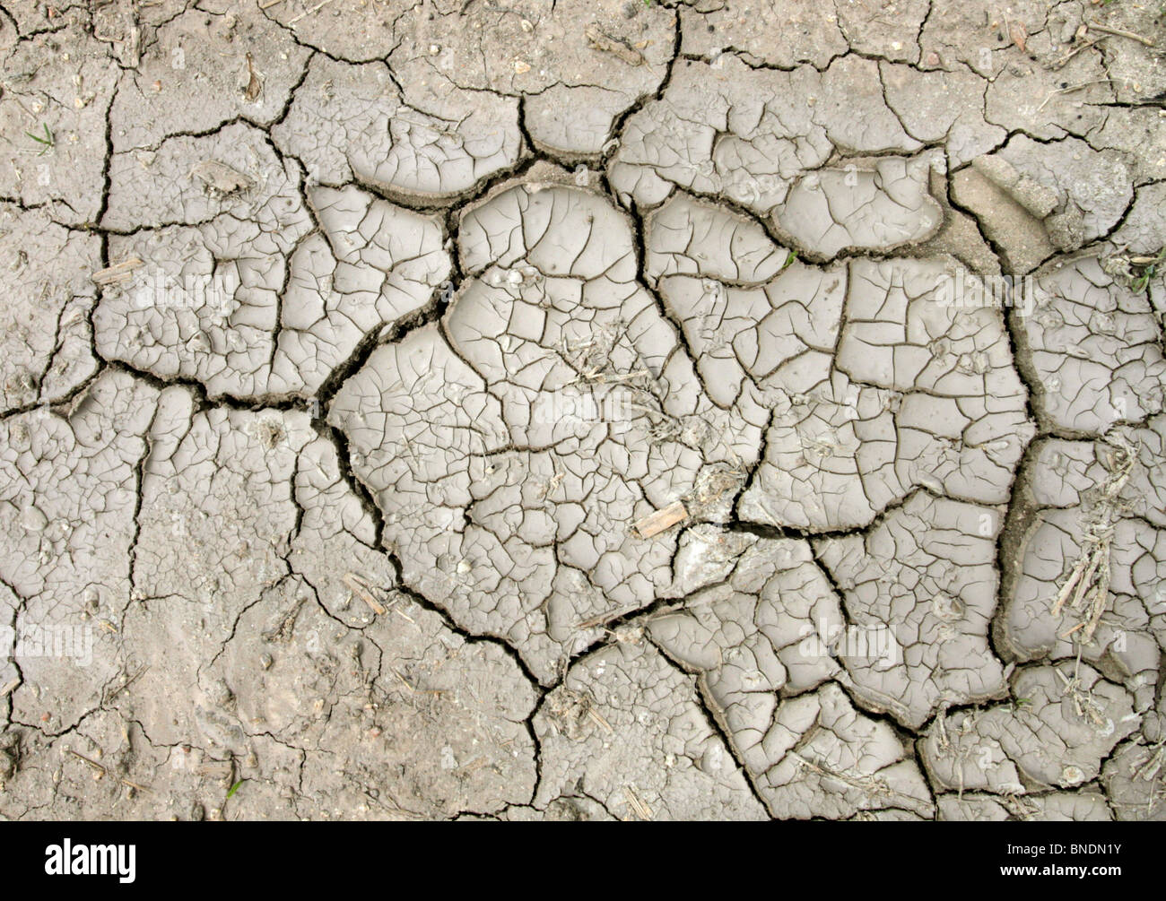 Death crack hi-res stock photography and images - Alamy