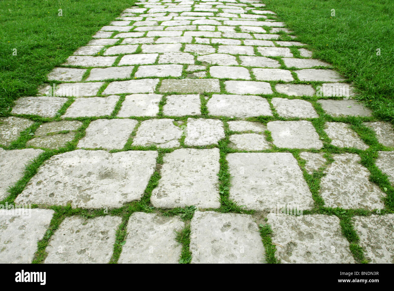 Cobble path grass hi-res stock photography and images - Alamy