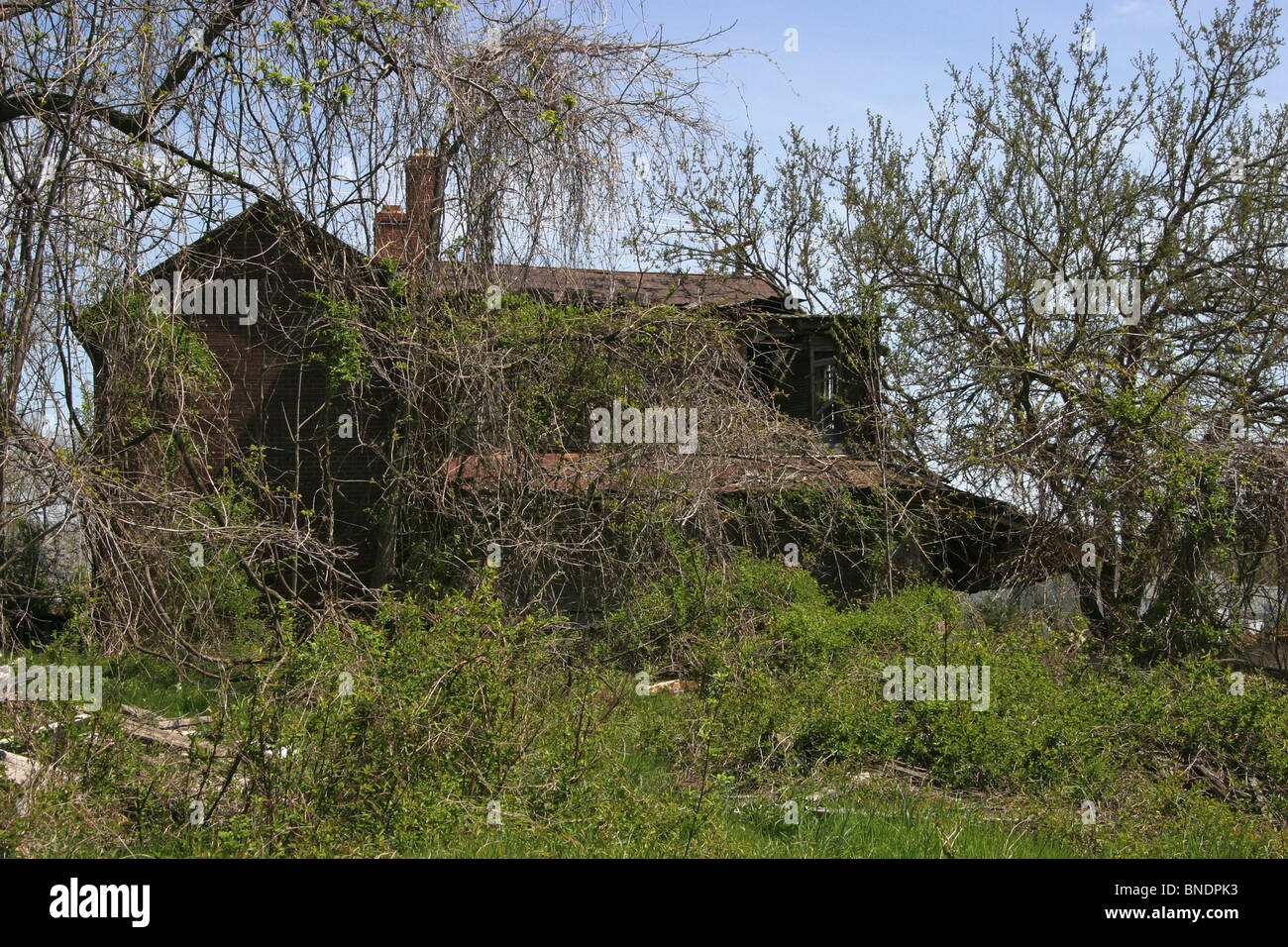 Abandoned vacant neglected unoccupied overgrown house home hi-res stock ...
