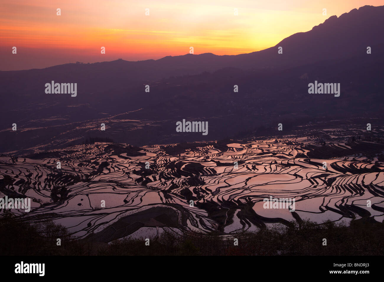 Rice terraces yuanyang yunnan china hi-res stock photography and images ...