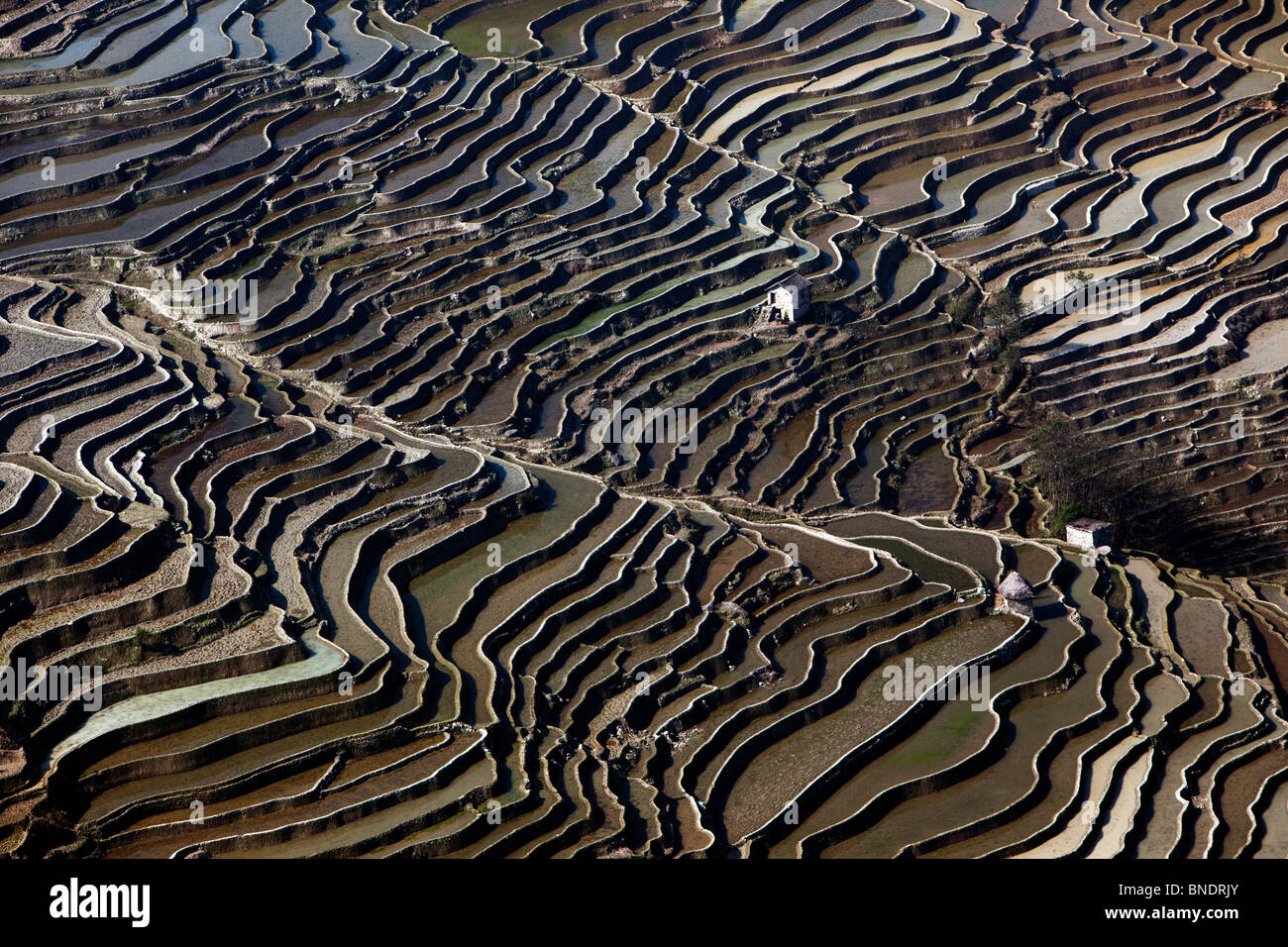 Yuanyang County rice terraces built by the Hani nationality, southwest ...