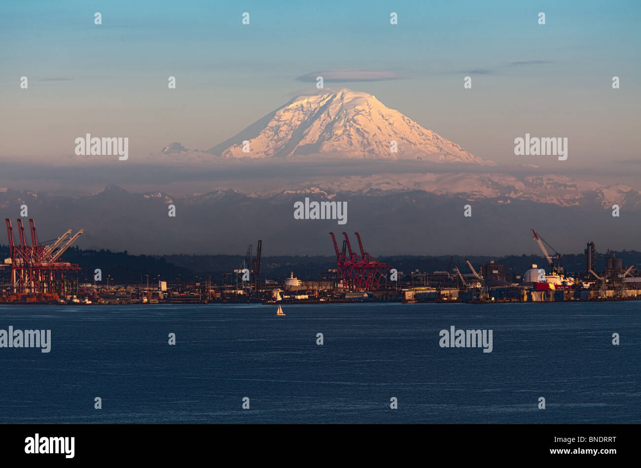 From magnolia bluff hi-res stock photography and images - Alamy