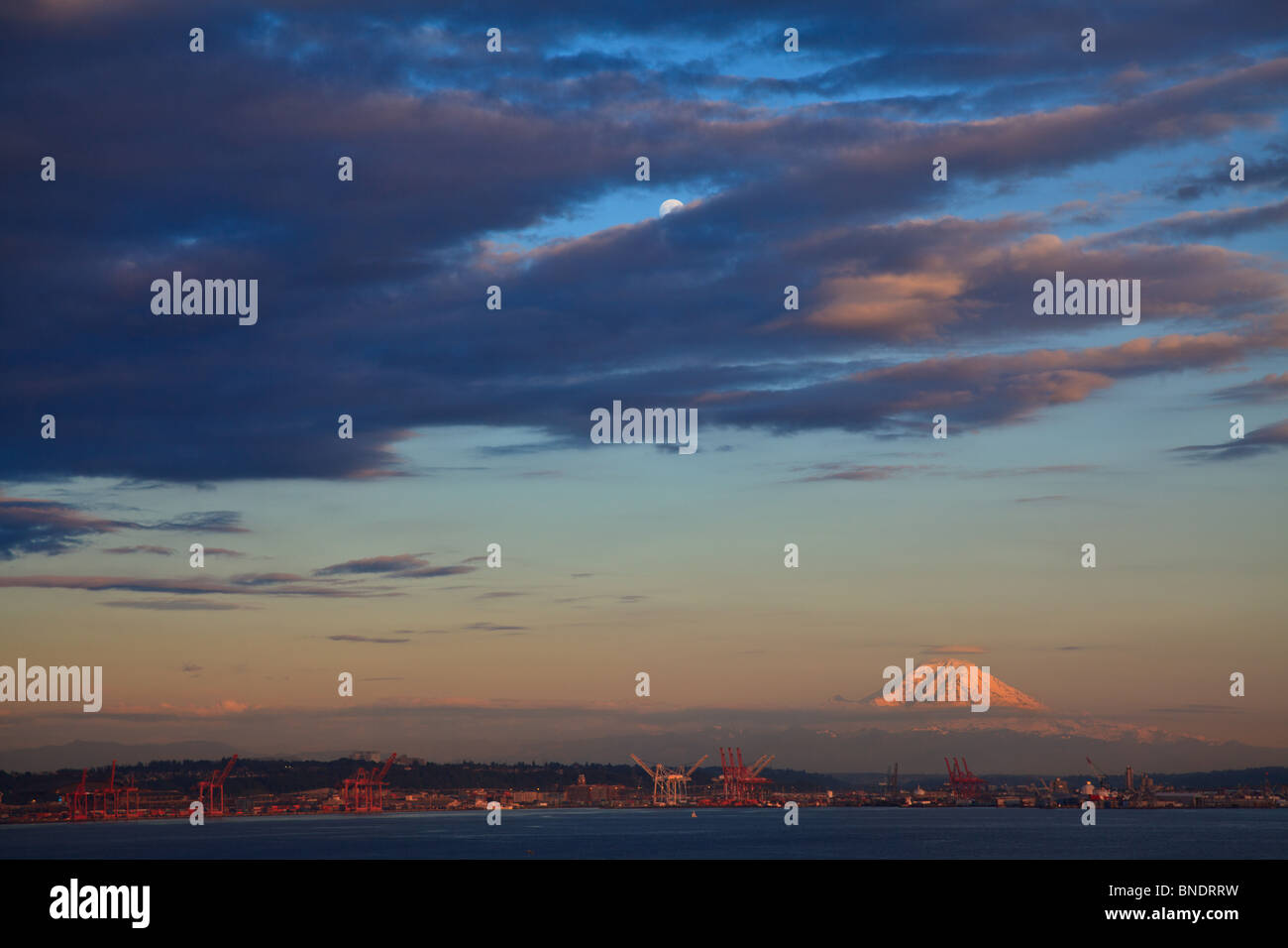 Mount Rainier from Magnolia Bluff, Seattle, Washington Stock Photo - Alamy