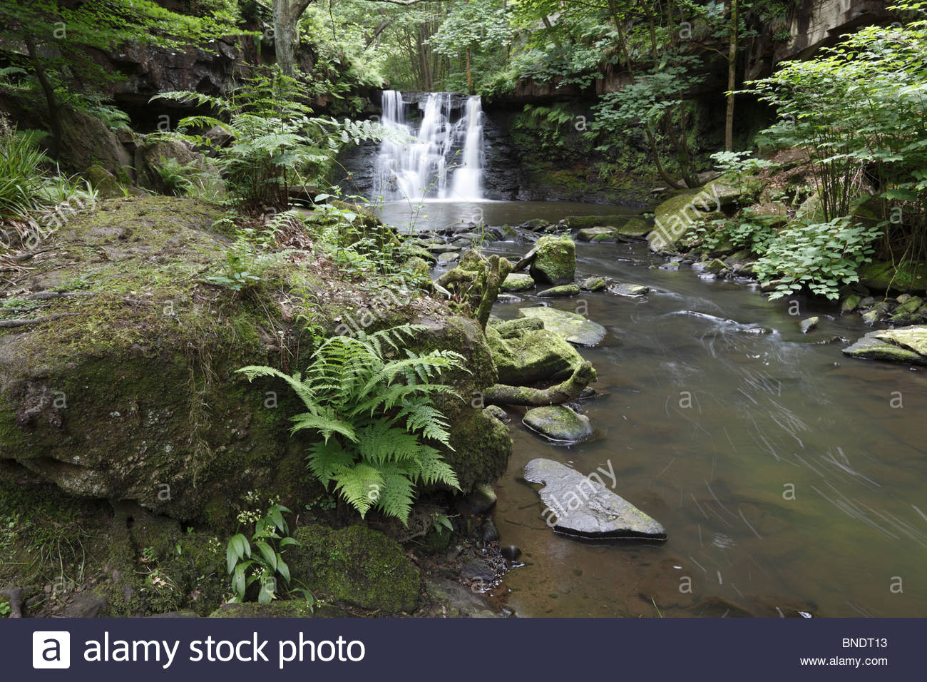 Goitstock Wood High Resolution Stock Photography and Images - Alamy