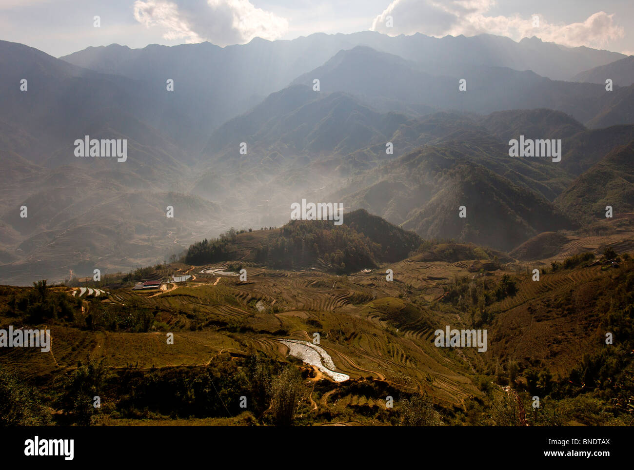 Rice terrace at Sapa Vietnam Stock Photo - Alamy